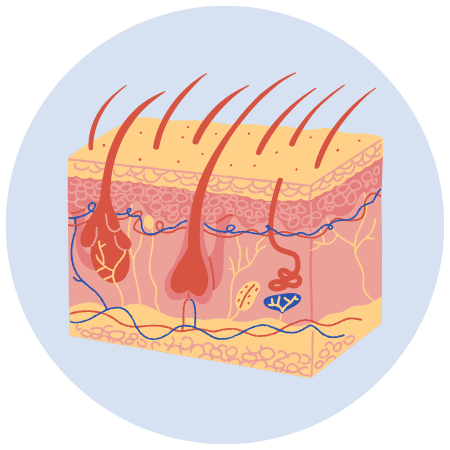 Scleroderma Medications Guide (Canada) - Scleroderma BC